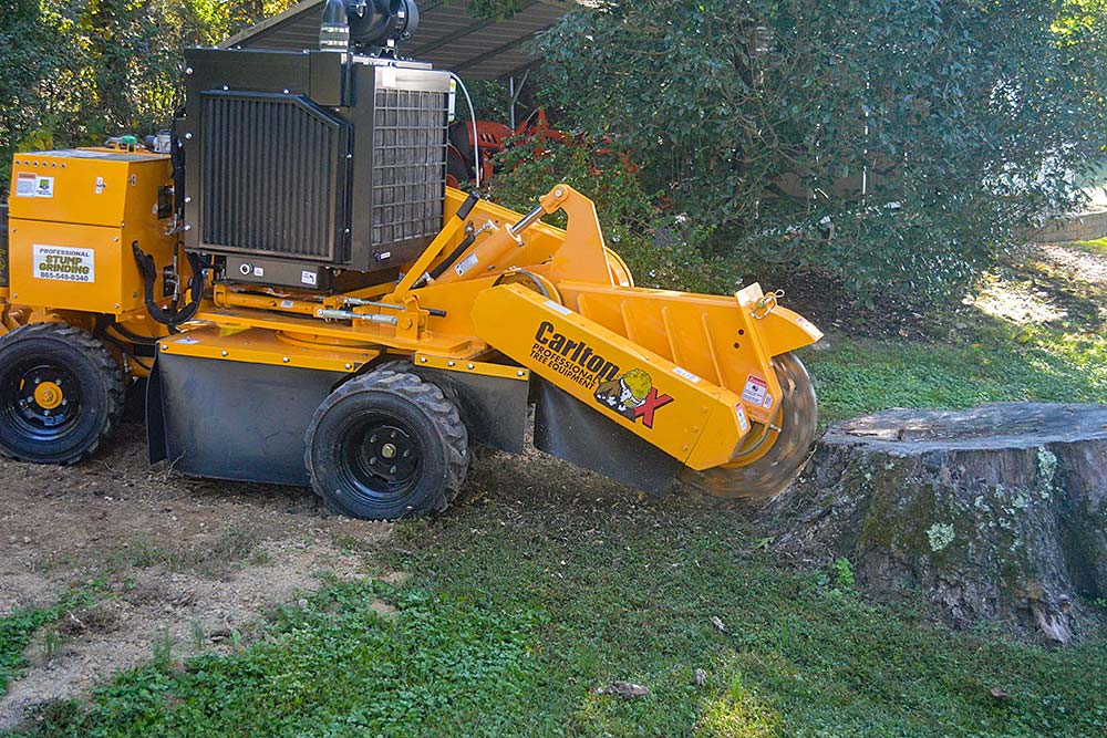 Before and After Photos Tree Stump Grinding and Removal